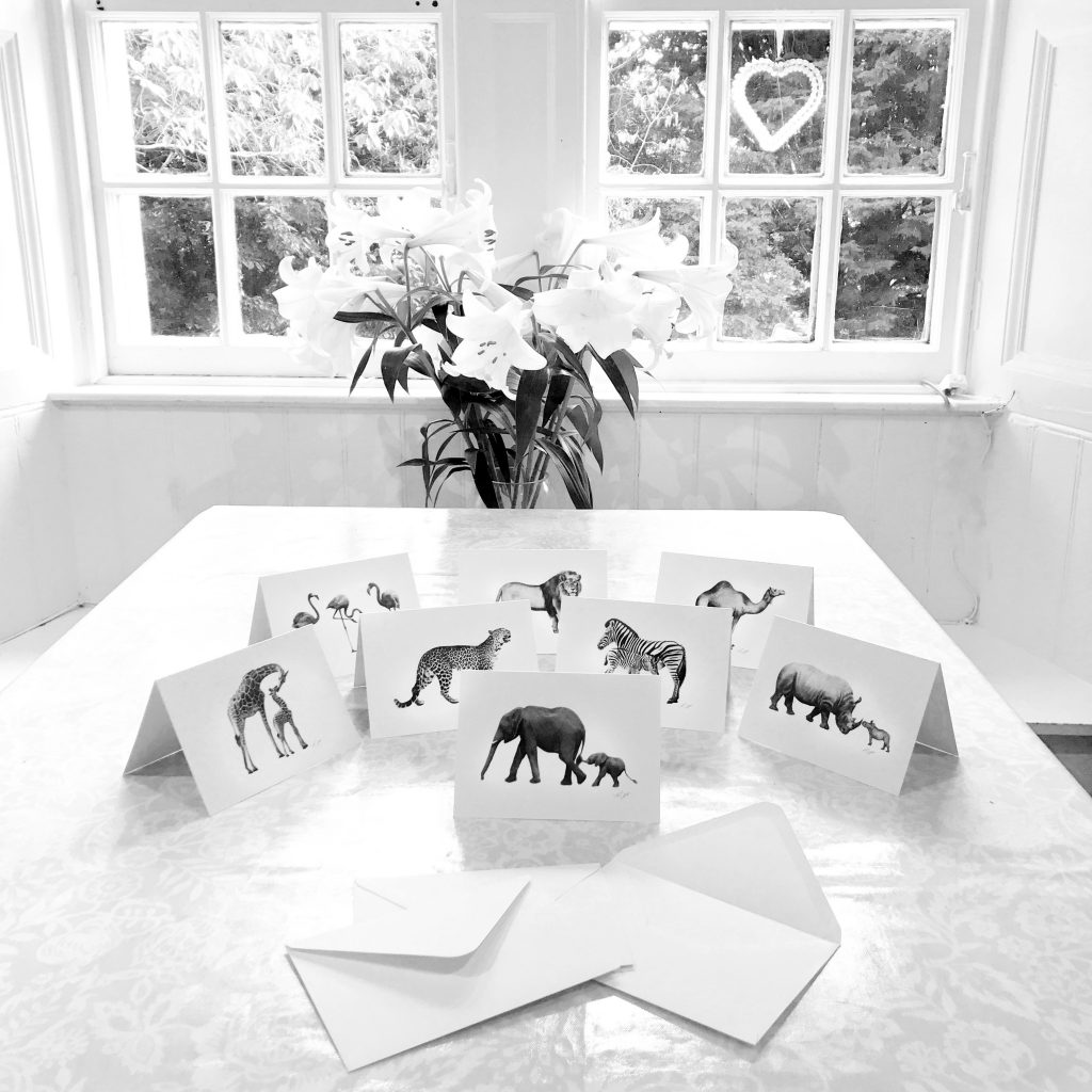 MIXED AFRICA NOTE CARDS - COTTON AND COMPANY